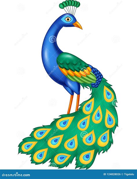 A Beautiful Peacock Sit On The Tree Vector Drawing
