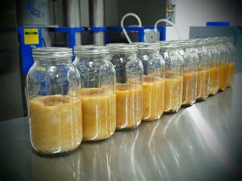 Rapid Analytics 24 Hour Potency Residual Solvent Testing Classifieds Future4200