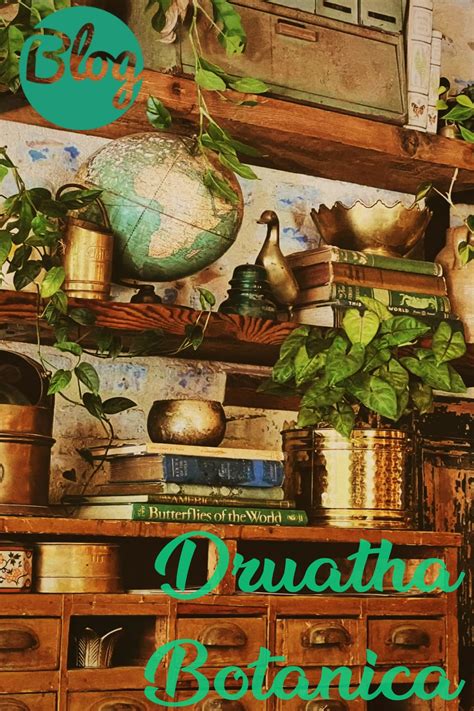 Ribbed Woods Cat Bean Free Crochet Recipe From Midsomers Litha