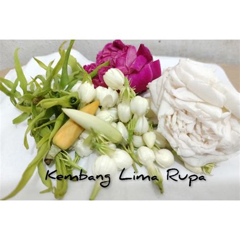 Jual Bunga Setaman Kembang 5 Rupa Wangi Paket Murah Shopee Indonesia