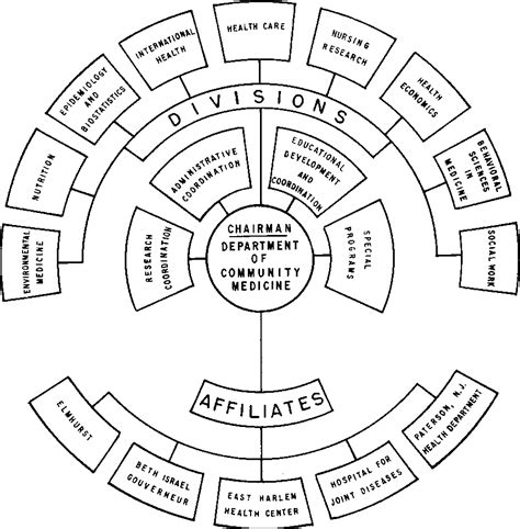 Figure 1 From Mount Sinais Approach To The East Harlem Community Semantic Scholar