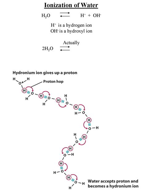 Water 70 Of Weight Of Most Organisms Ppt Download