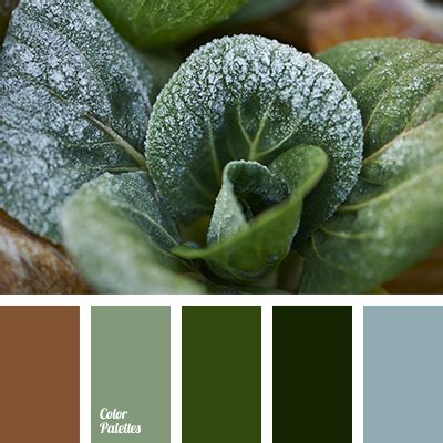 Blue Gray Page 4 Of 9 Color Palette Ideas