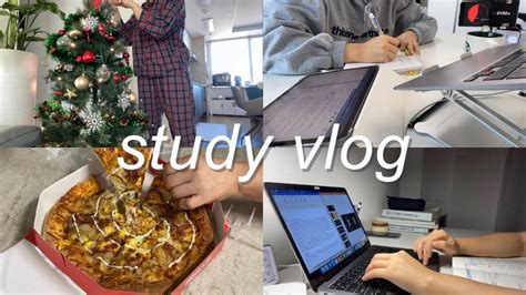 경시생 브이로그 11 주둥이 경시생의 일상 집공러🏡 트리 만들기 🎄 Youtube