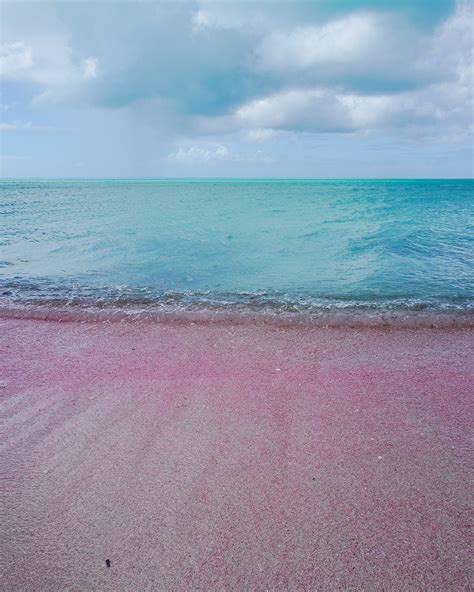 The Incredible Pink Beach On The Island Of Barbuda Peter Moore