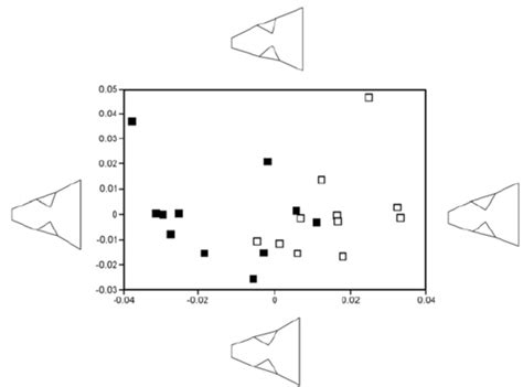 principal component analysis on the landmark coordinates of the head of