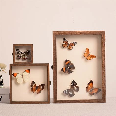 Susuchens High Visibility Display Box Large Insect Shadow Box Wood Construction Multiple Sizes