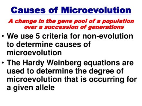 Ppt Microevolution Powerpoint Presentation Free Download Id 2350337