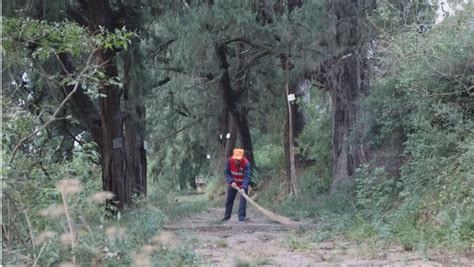 张玉富：铁面无私的护林员 蜀道上的 一根筋”丨看见正能量腾讯新闻