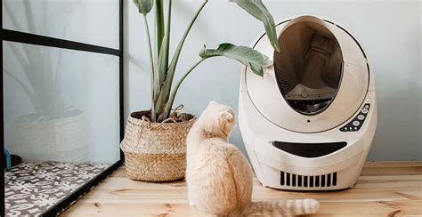 Troubleshooting For Litter Robot 3 Open Air Blue Flashing Light Fast