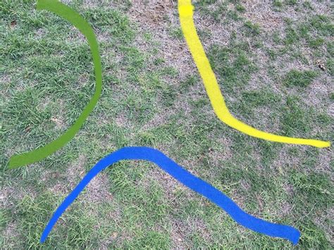 Overseeding Bermuda Grass Why You Probably Shouldnt Do It