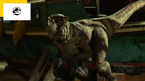 Jurassic World 3 L Atrociraptor Et Le Giganotosaure Ont Ils