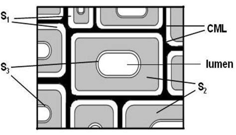 Figure 21 From Nanoscale Characterization Of Fibermatrix Interphase And Its Impact On The