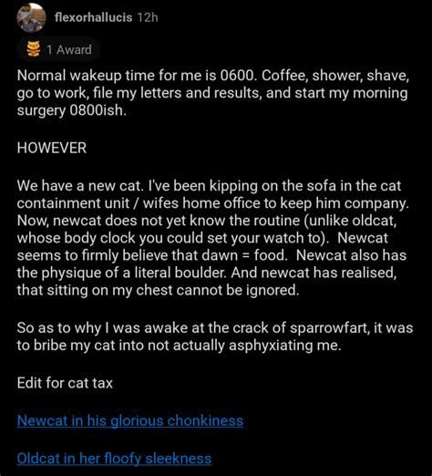 The Blowjob Brothers Rbrandnewsentence