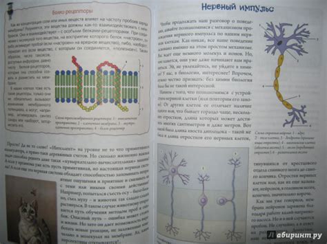 Книга: Нескучная биология с задачами и решениями - Петр Волцит. Купить ...