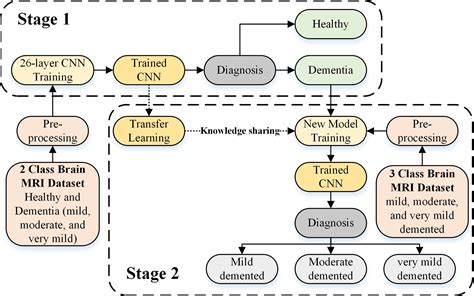 frontiers enhancing alzheimer s disease diagnosis and staging a multistage cnn framework