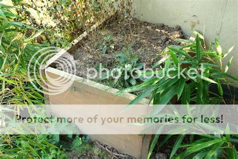 It S Not Work It S Gardening Planter Box Extreme Makeover