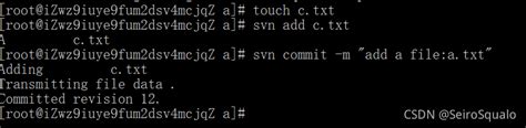 Svn删除或新建（添加）文件svn 删除add文件 Csdn博客