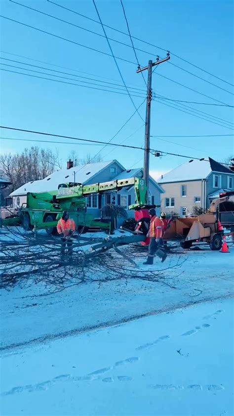 Merlo Greg Grapplesawgreg Merlo • Instagram Photos And Videos