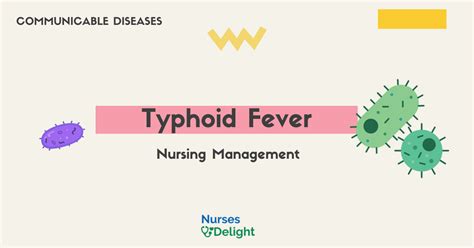 Typhoid Fever Nurses Delight Comprehensive Nursing Education Resources