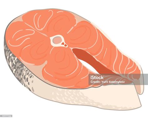 연어 스테이크 벡터 흰색 배경에 분리된 만화 스타일의 그림 붉은 물고기 한 조각을 잘라내십시오 오메가 3가 함유 된 해산물 송어 필레 건강한 생활방식에 대한 스톡 벡터 아트