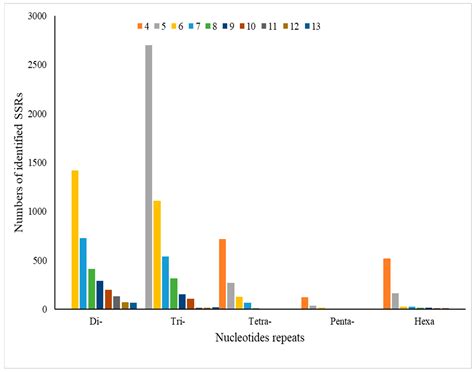 simple sequence repeats ssrs and telomeric analysis in somatic organs of reproductive and non