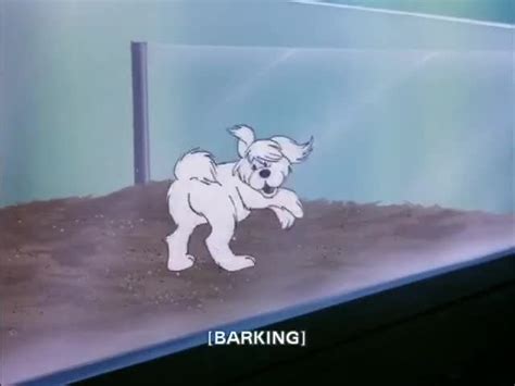 Scooby Doo Goes Hollywood Watch Cartoons Online Watch Anime Online English Dub Anime