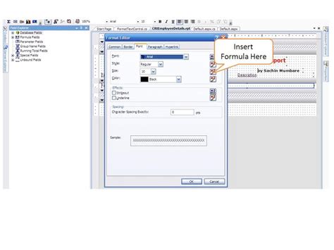 Asp Net Custom Control Crystal Report Dynamic Text Format Codeproject