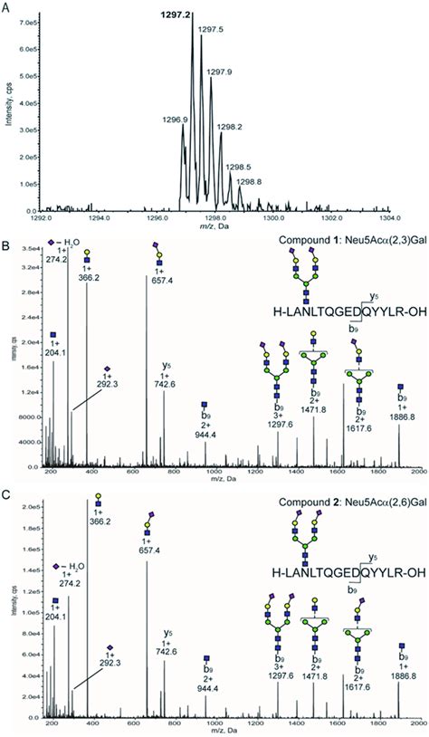 Optimization Of SRM Channels By Structure Defined Synthetic Clusterin