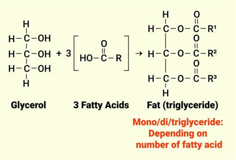 Hexane Molecule