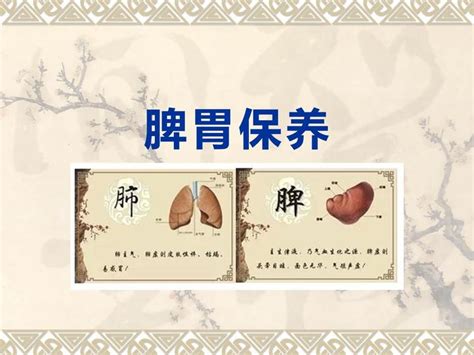 脾胃保养ppt，脾胃保养重点，适应人群、脾胃失调原因、脾胃保养饮食调理注意事项 知乎