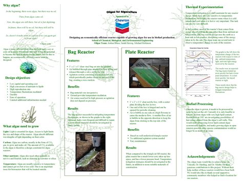 Why Algae Thermal Experimentation In The Beginning There