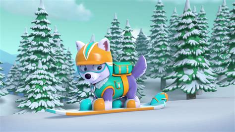 Image Sleepwalking Bear 22 Paw Patrol Wiki Fandom Powered By