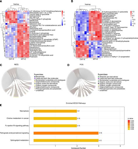 Frontiers The Crosstalk Between Microbiota And Metabolites In Ap Mice