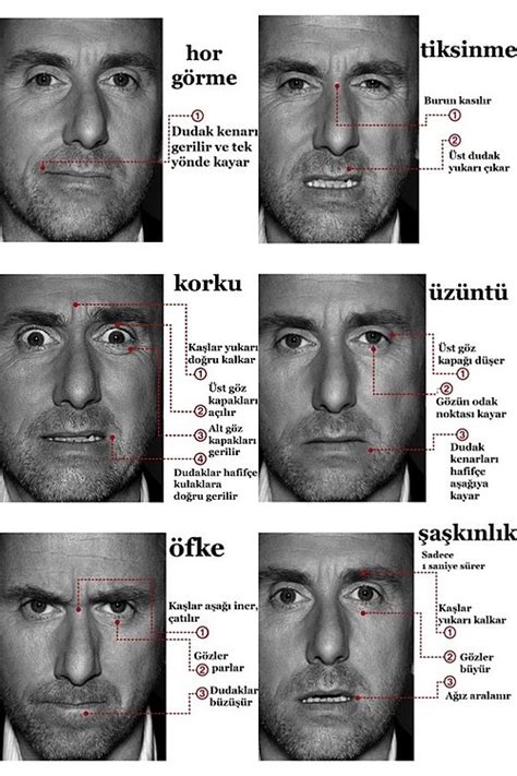 Facial Micro Expressions Daily Sex Book