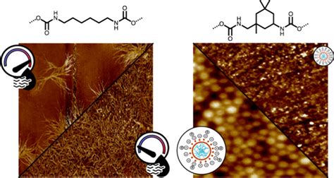 Morphology Control In Waterborne Polyurethane Dispersion Nanocomposites Through Tailored