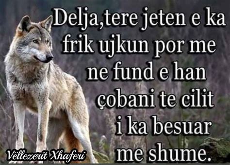 FjalË TË Urta Shqip