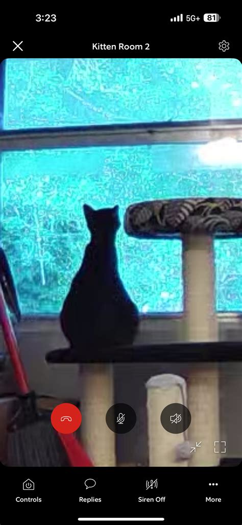 Just One More Pic Before Bed Album On Imgur