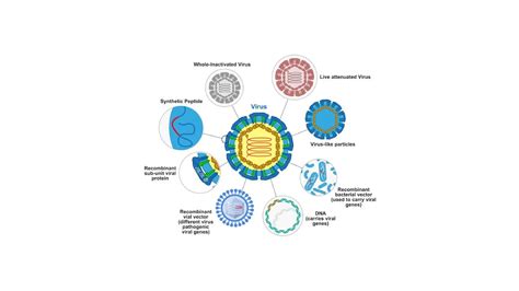 Recombinant Dna Technology Power Point Presentation Ppt