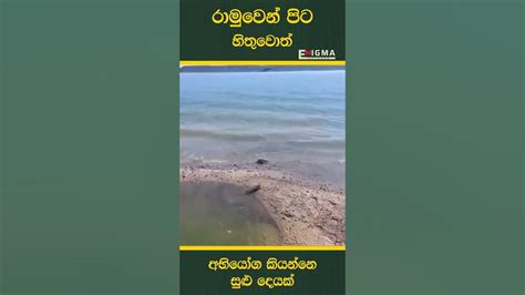 රාමුවෙන් පිට නොහිතන තුරු ඔබ ඔබටම වහලෙක් වේ Viralvideo Foryou Fypシ゚viral Viralshort Youtube