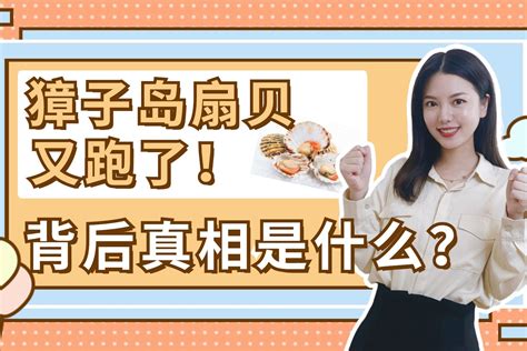 獐子岛扇贝凤凰网视频凤凰网