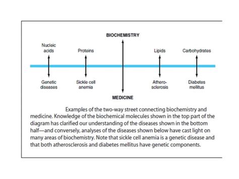 Lect 1 Basic Biochem Pdf