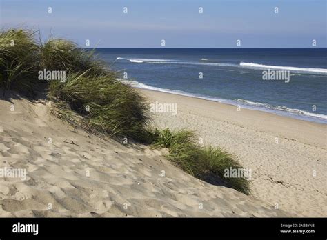 Sand Dunes Marconi Beach Cape Cod National Seashore Wellfleet Cape
