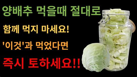 양배추 먹을때 절대로 함께 먹지 마세요 이것과 먹었다면 즉시 토하세요 암예방만성염증 5kg 비법 양배추 먹는법