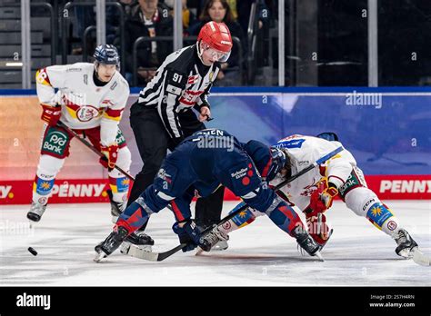 Linesperson Tobias Schwenk Fuehrt Ein Bully Faceoff Aus Zwischen