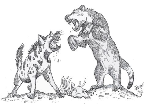 A Giant Mustelid Possibly Plesiogulo Shows An Adcrocuta Hyena Whos Boss Over A Carcass R