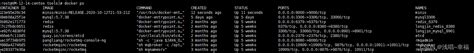 Docker查看容器的初始启动命令参数的常见几种方式查看docker容器启动参数 Csdn博客