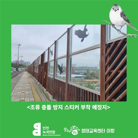 조류 충돌 방지 스티커 부착 자원봉사자를 모집합니다 인천녹색연합