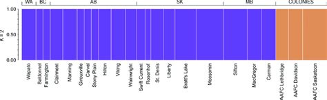 Bayesian Assignment Probabilities Based On Baw Snp Data As Inferred By