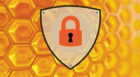 Stone River Elearning Ethical Hacking Malware Development Wisdom